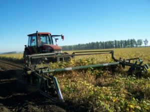 Pickett Equipment | the most innovative and advanced edible bean ...